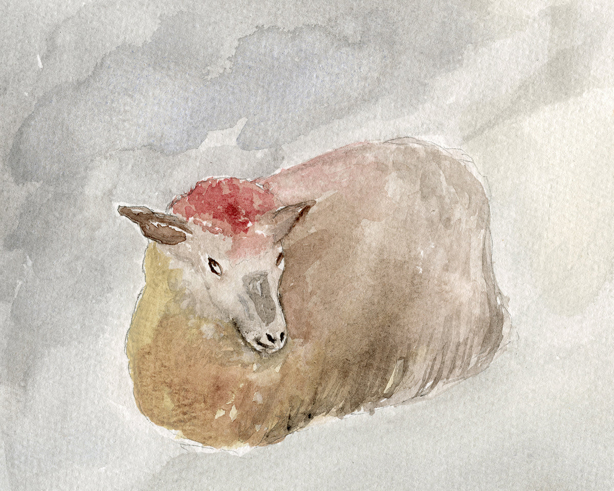 Sheep Art, Sheep Print, Little Sheep for Nursery Art, Nursery Design ...